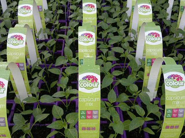 easy-colour-punnet-vegetables