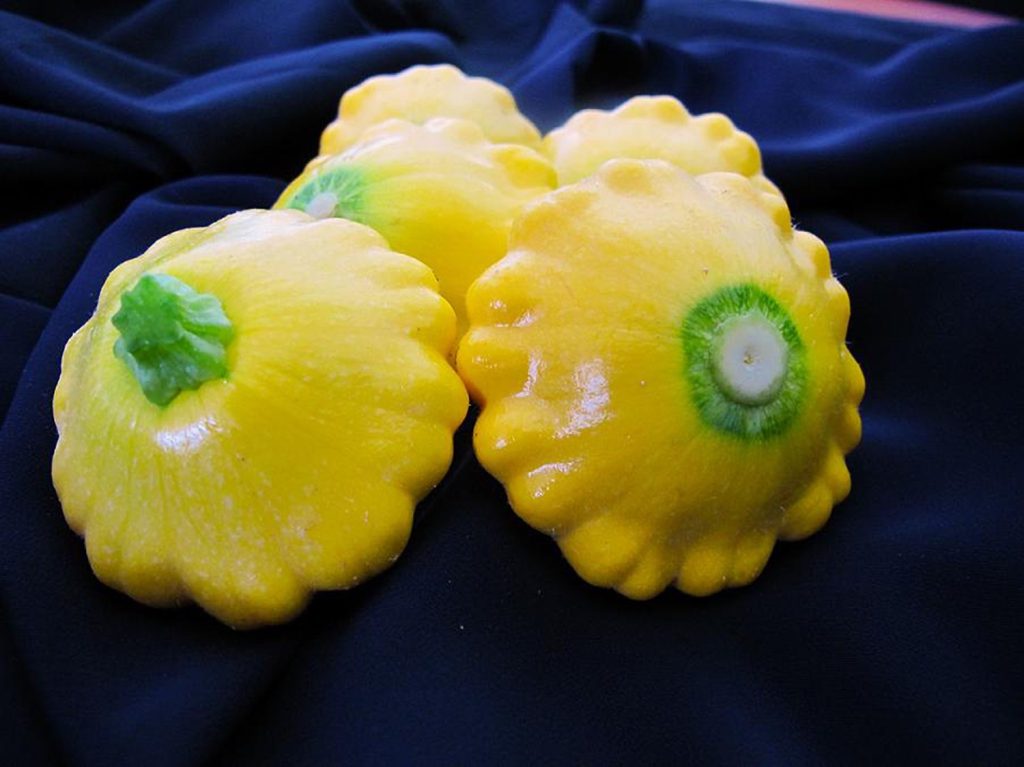 Squash Yellow Button
